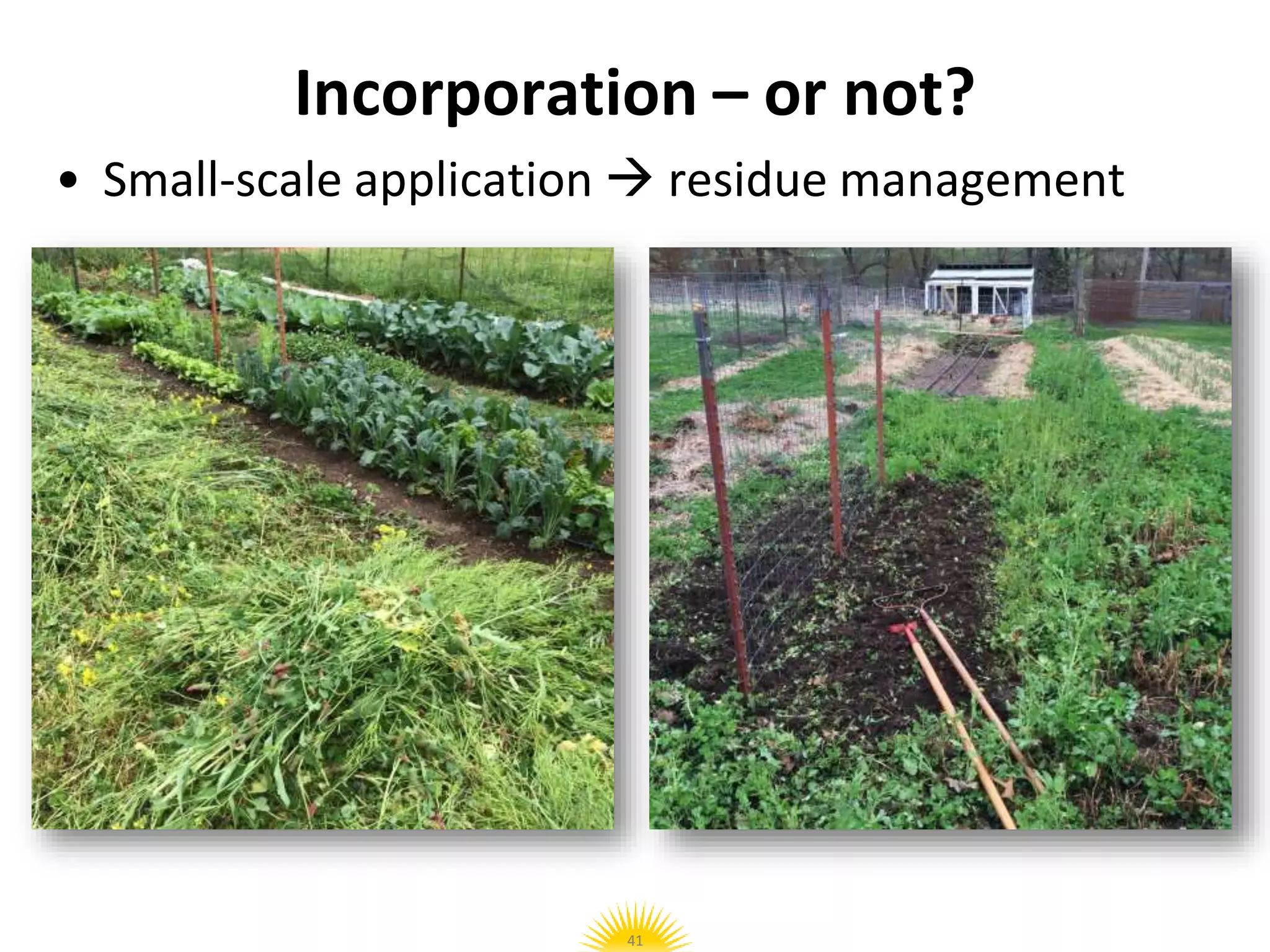 Cover Cropping for Regenerative Agriculture | PDF