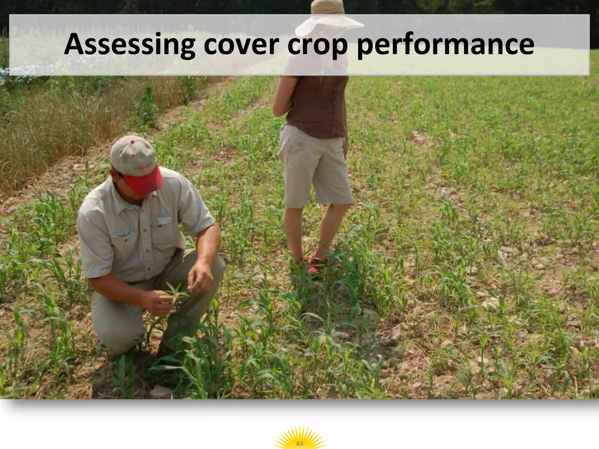 Cover Cropping for Regenerative Agriculture | PDF