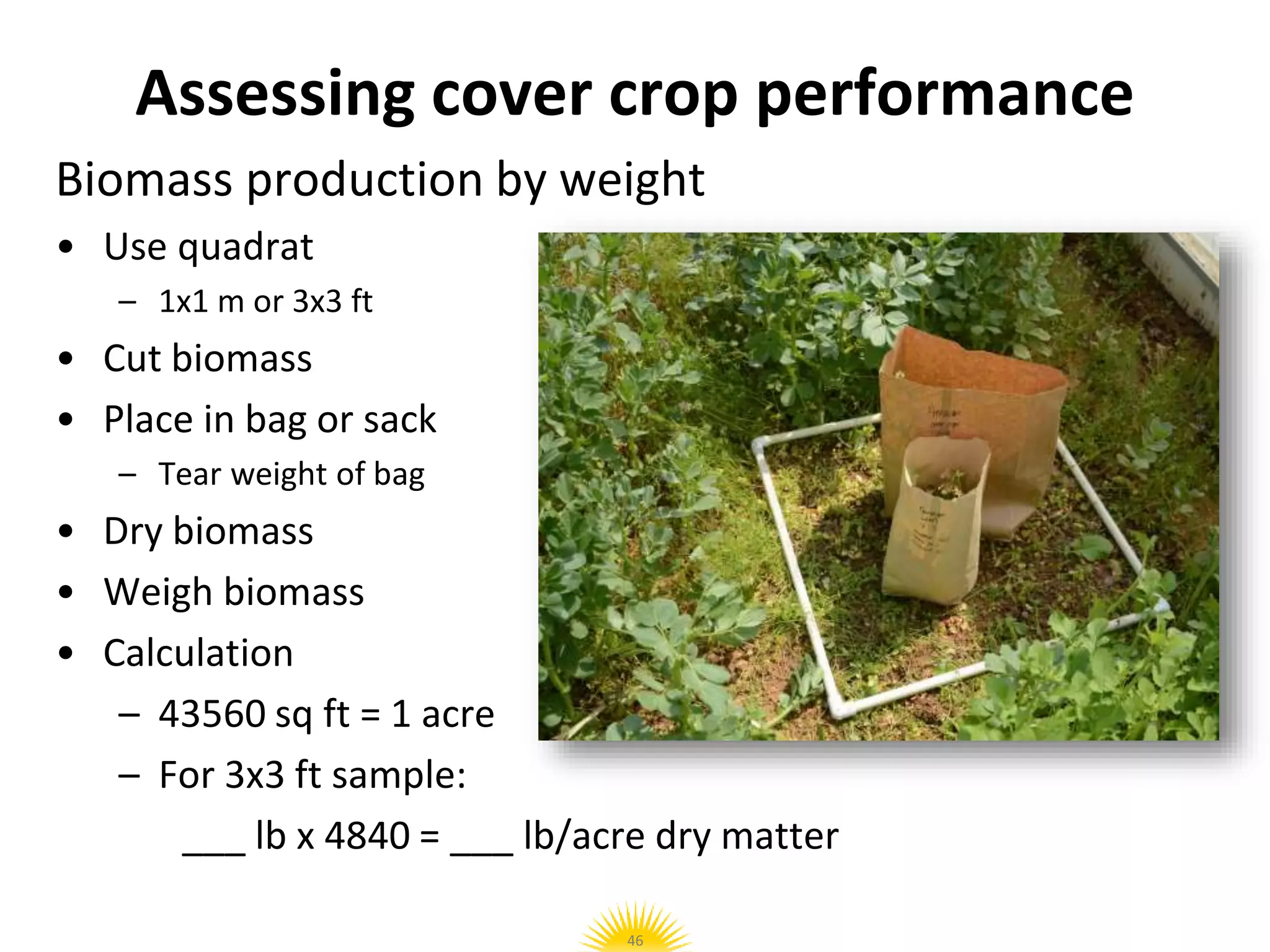 Cover Cropping for Regenerative Agriculture | PDF