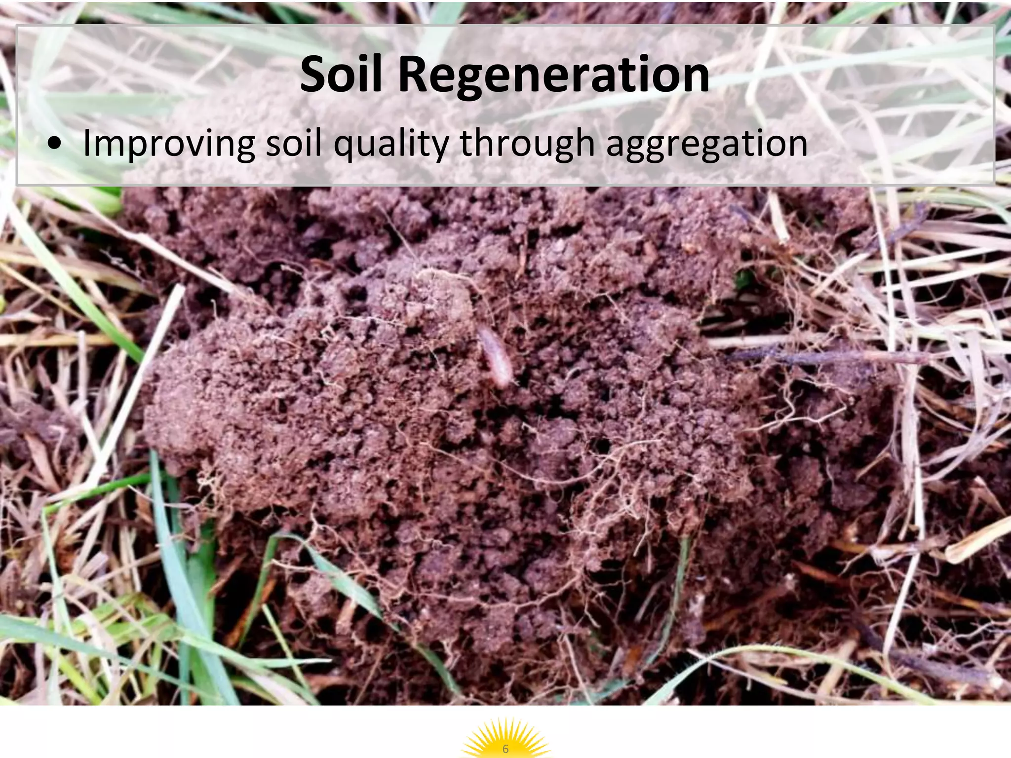 Cover Cropping for Regenerative Agriculture | PDF