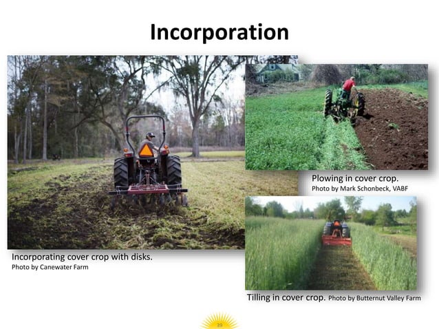 Cover Cropping for Regenerative Agriculture | PDF