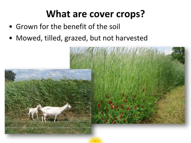 Cover Cropping for Regenerative Agriculture | PDF