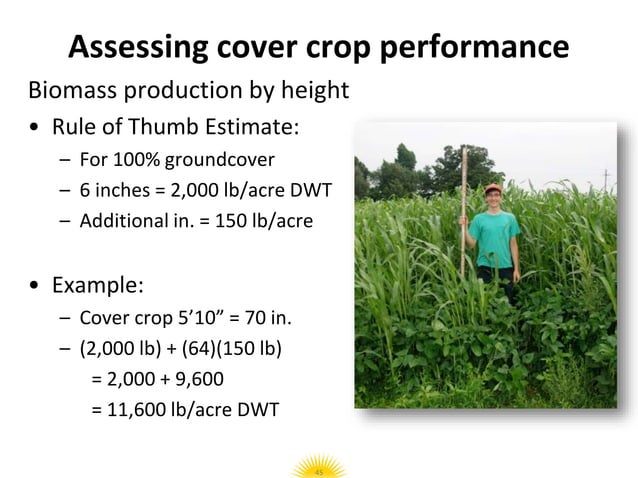 Cover Cropping for Regenerative Agriculture | PDF