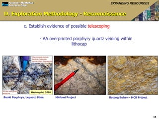 Freeport Epithermal and porphyry exploration under lithocaps.pdf