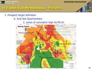 Freeport Epithermal and porphyry exploration under lithocaps.pdf