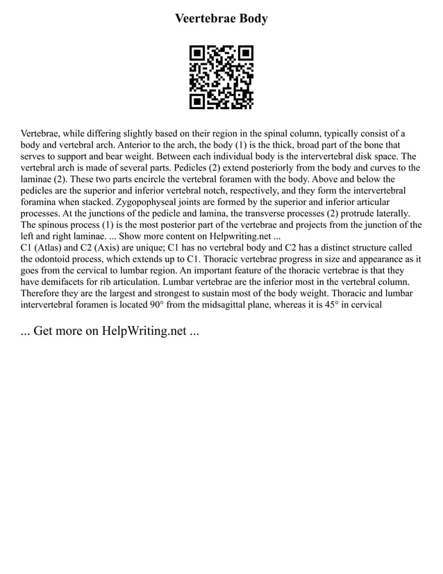 Free Printable Handwriting Paper For First Grade - Ne | PDF | Bone and ...