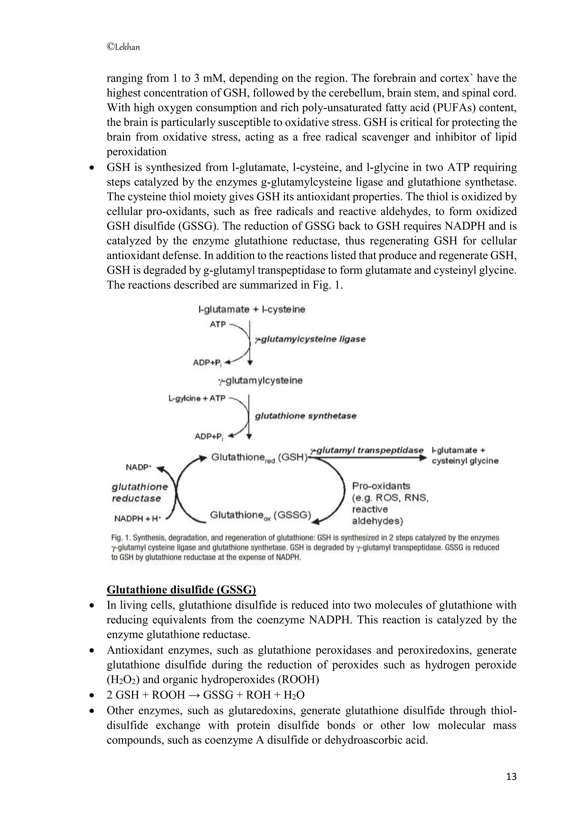 Free radicals | DOCX