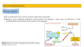 Free Radical, their Mechanism, effect on body and Antioxidants | PPTX