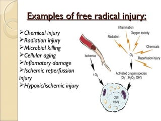 Free radical induced injury | PPT