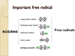 Free radical induced injury | PPT