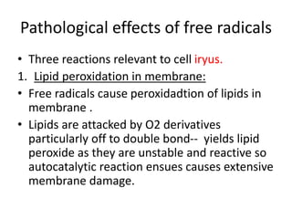 Free Radical Injury from ROBIN ( prof dr naseer lecture) | PPTX