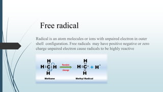 free radical ppt nw.pptx