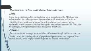free radical ppt nw.pptx