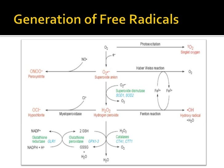 Free radicals