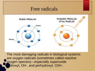 Free radicals | PDF