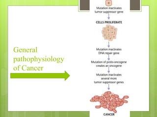Free radicals in Cancer | PPTX