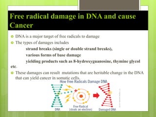 Free radicals in Cancer | PPTX