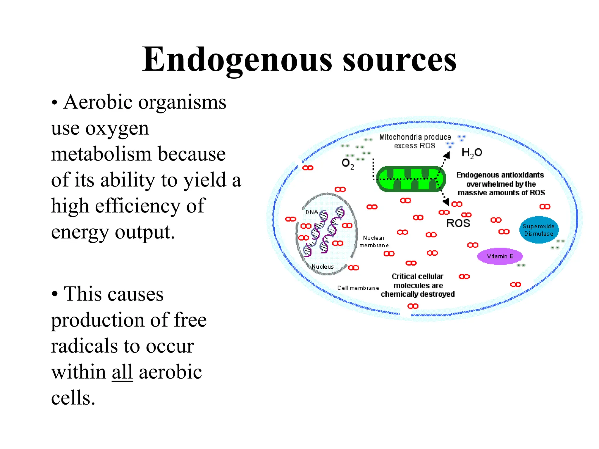 Free Radicals CHEMISTRY presentation ppt | PPT