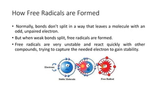 Free radicals.pdffutkfkuftfgfghfvjmgcmgchfc | PDF