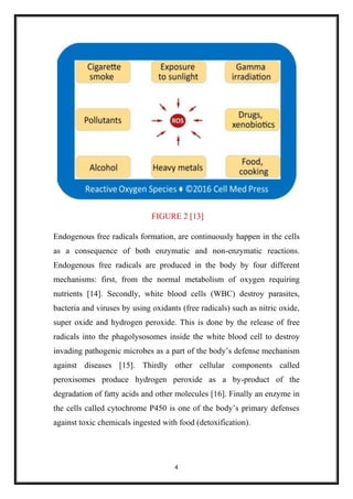 Free radicals 2018 | PDF