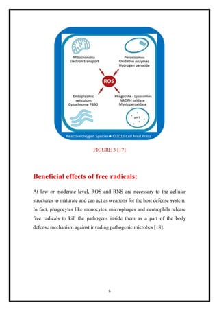 Free radicals 2018 | PDF