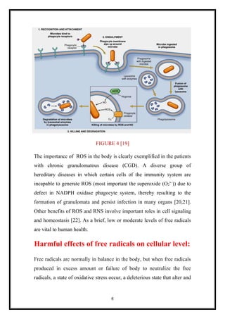 Free radicals 2018 | PDF
