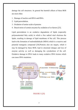 Free radicals 2018 | PDF