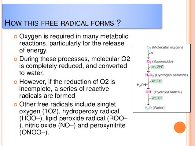 Free Radicals and Antioxidants.pptx