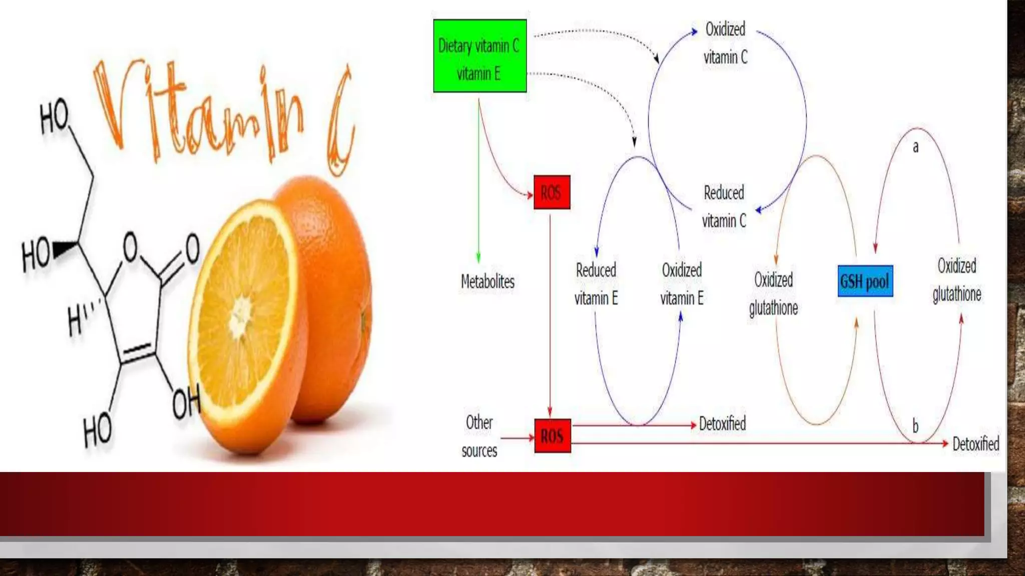 Free radicals and antioxidants | PPTX