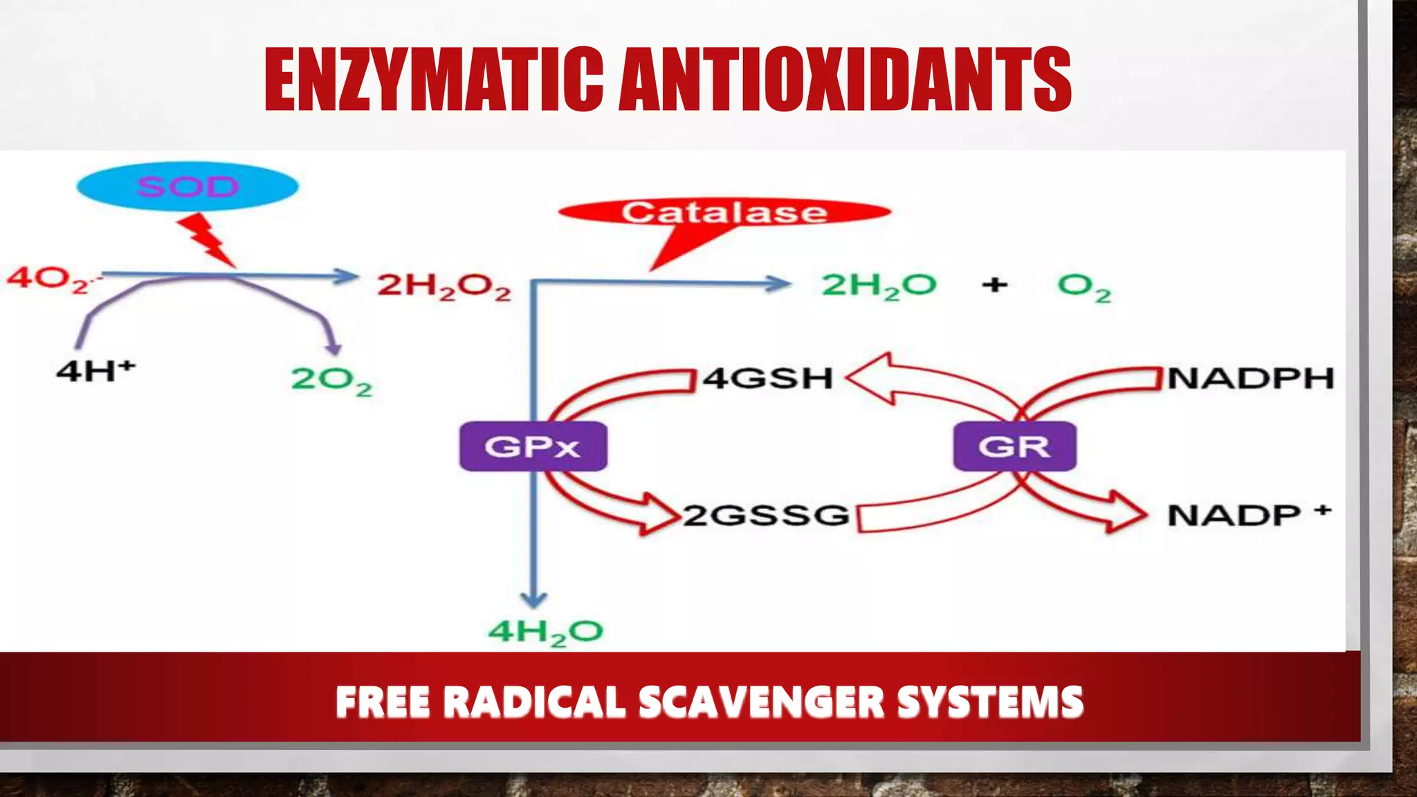 Free radicals and antioxidants | PPTX