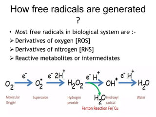 Free radicals and Antioxidents .ppt-1.pptx