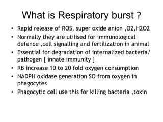 Free radicals and Antioxidents .ppt-1.pptx