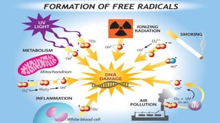 FREE RADICALS AND ITS CLINICAL SIGNIFICANCE.ppT.pptx