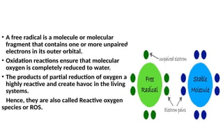 FREE RADICALS AND ITS CLINICAL SIGNIFICANCE.ppT.pptx
