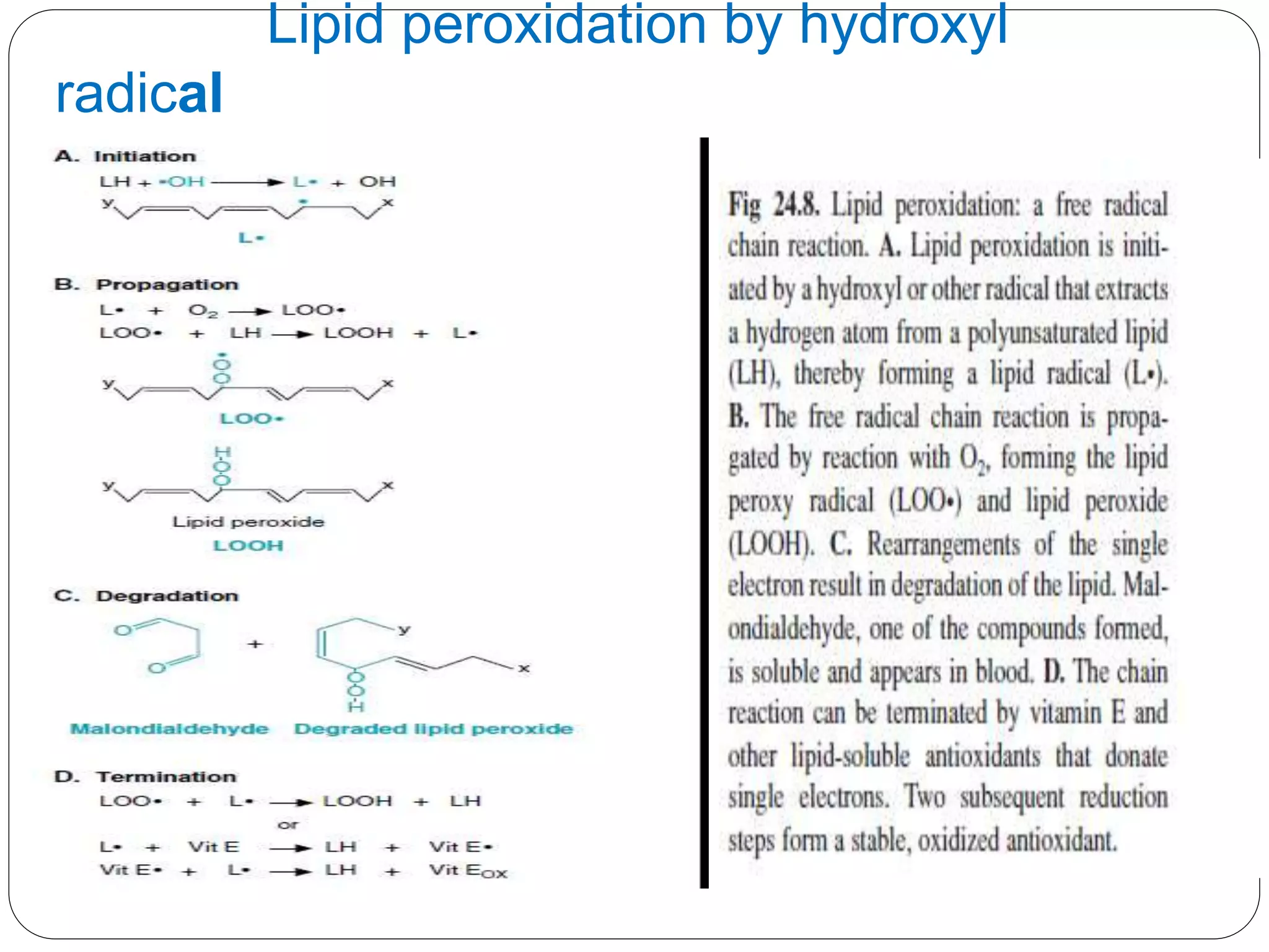 Free radicals and reactive oxygen species | PPTX