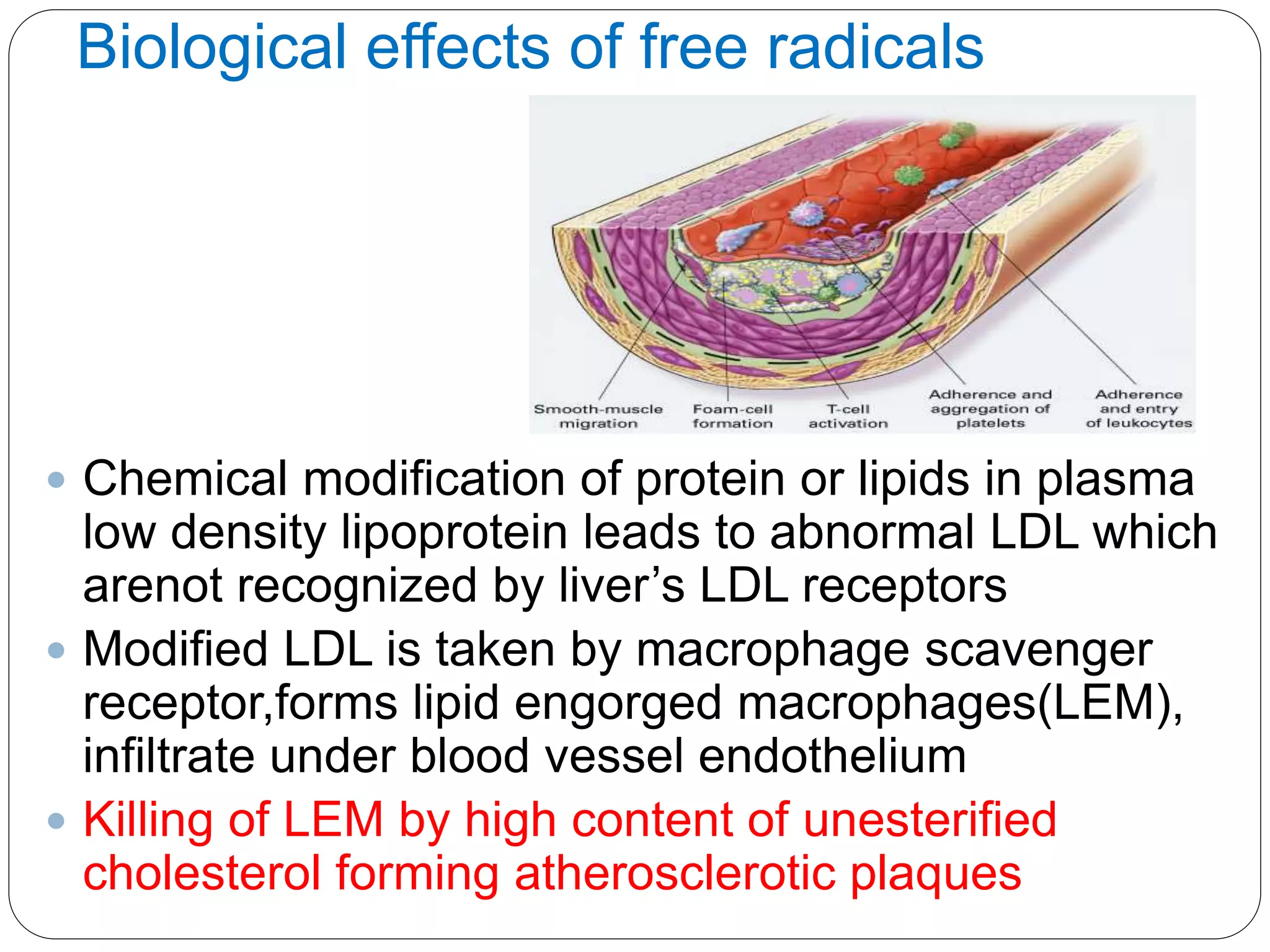 Free radicals and reactive oxygen species | PPTX