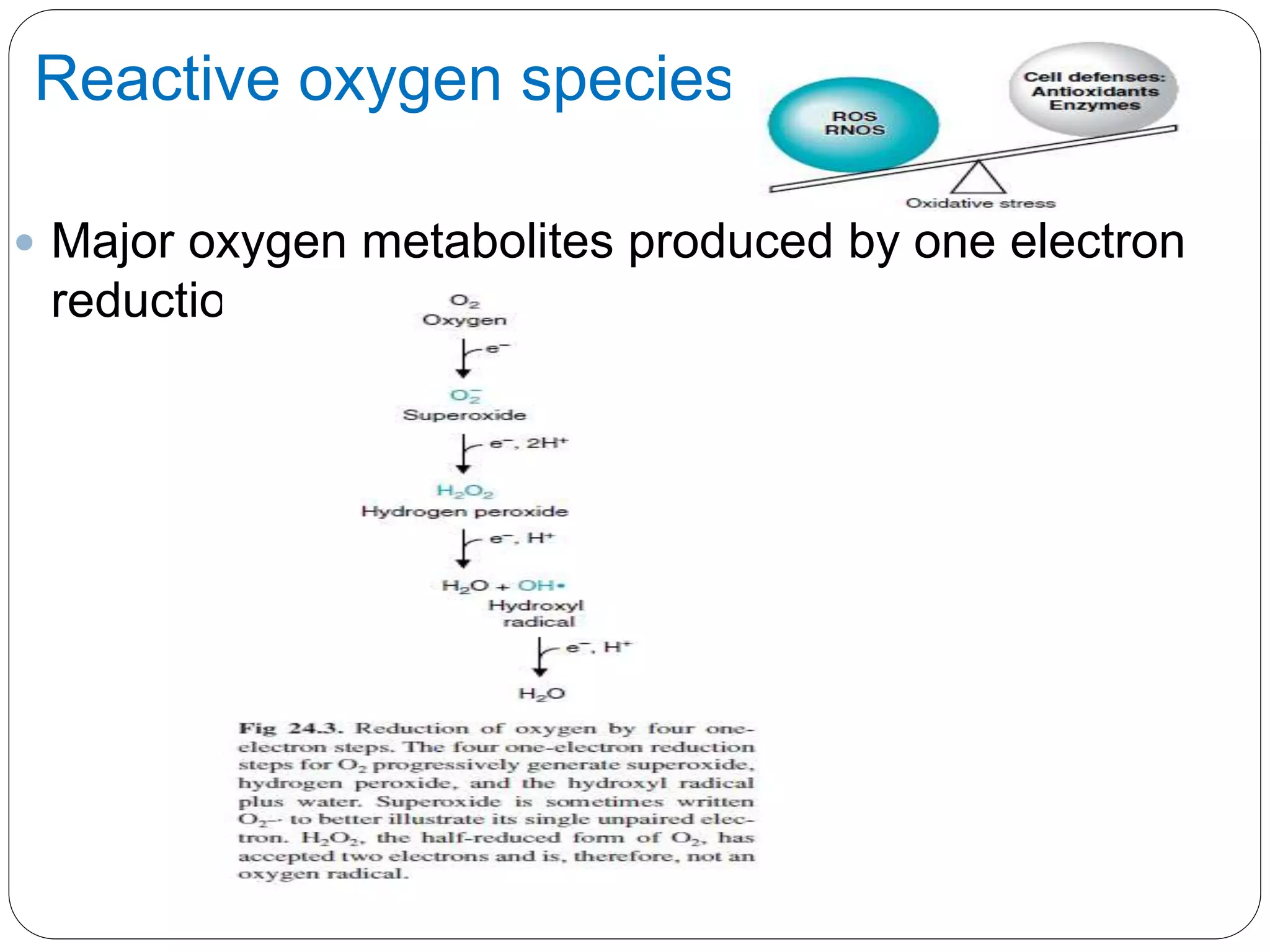 Free radicals and reactive oxygen species | PPTX