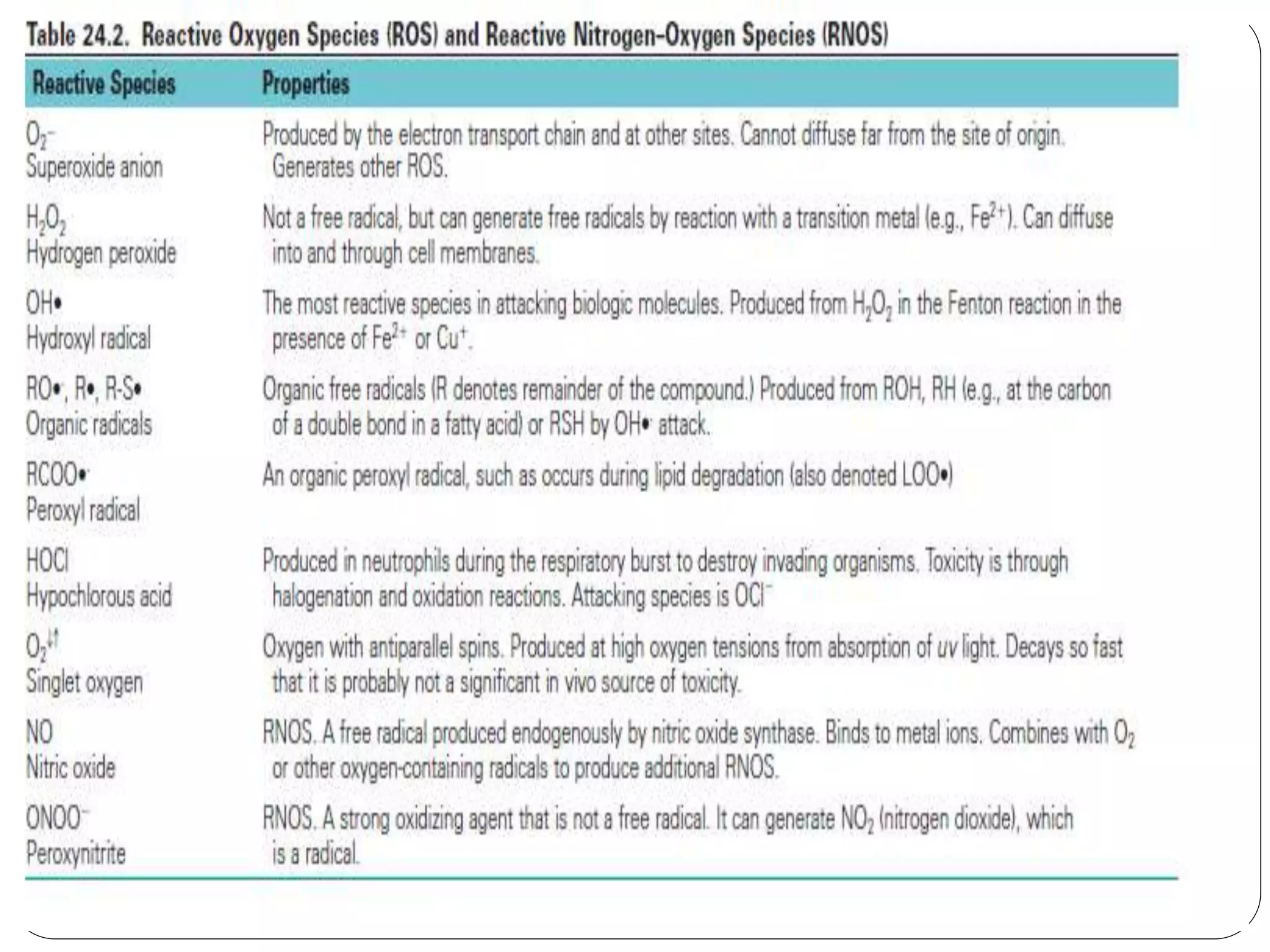 Free radicals and reactive oxygen species | PPTX