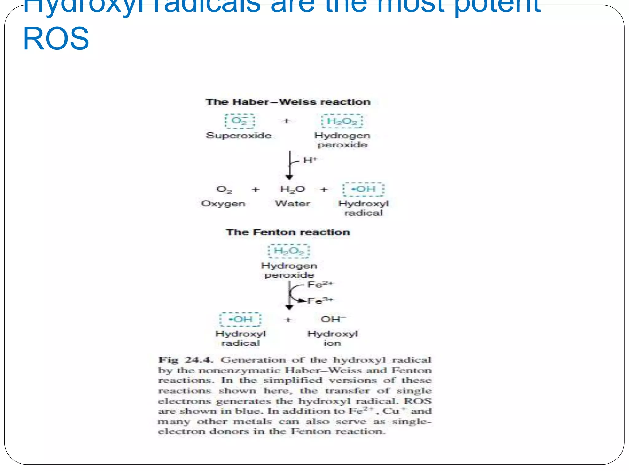 Free radicals and reactive oxygen species | PPTX