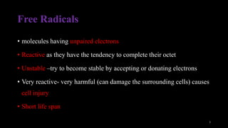 Free Radicals, Oxidative Stress and Natural Antioxidants by Maliha ...