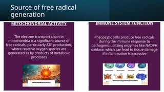 free radicals pharmacology and role in various diseases | PPTX