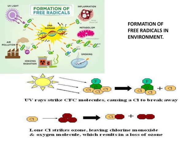 Free radicals and antioxidants | PPT | Chemistry | Science