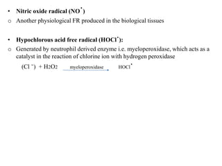 Free radicals and antioxidants | PPT
