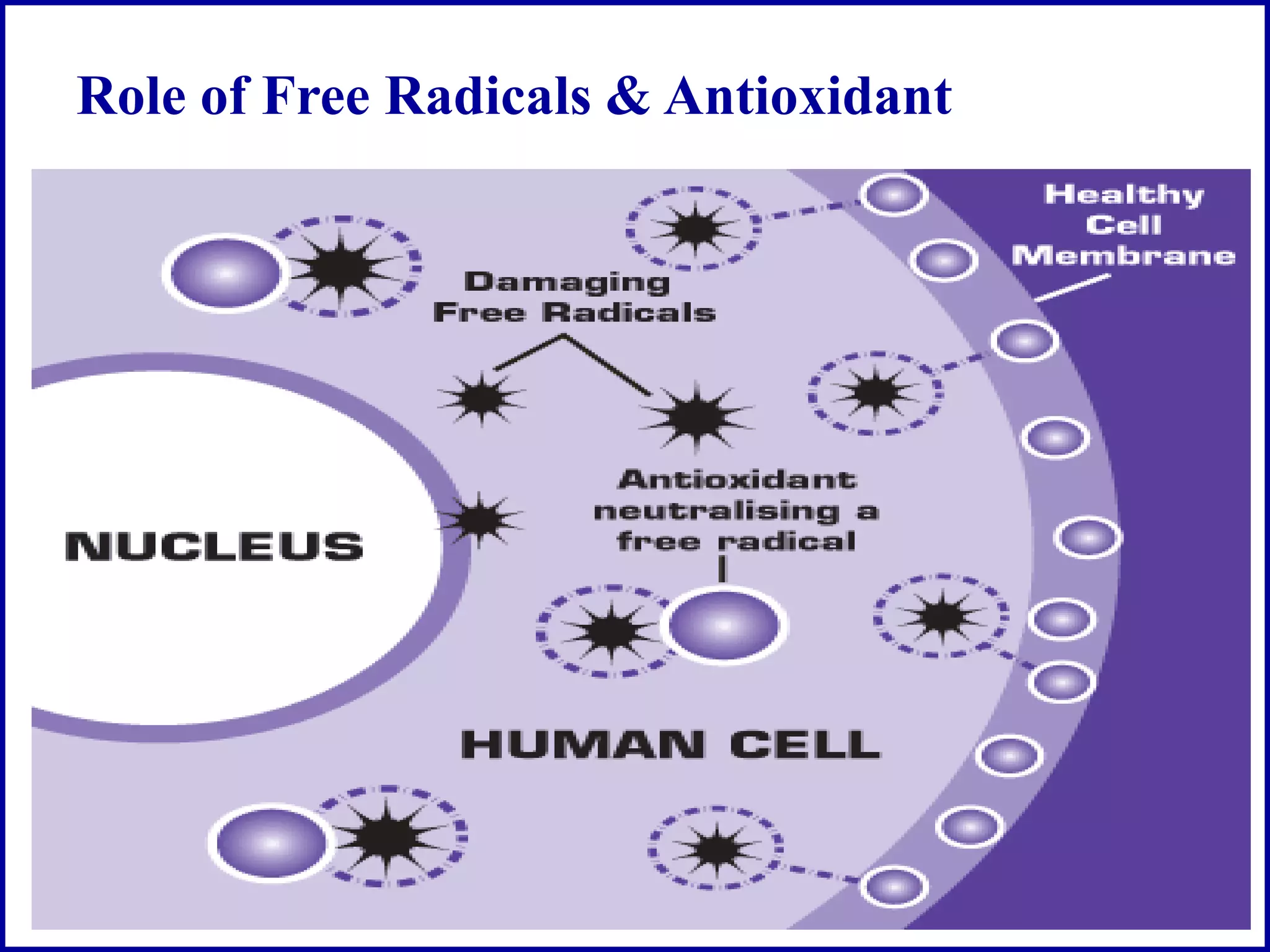 Free Radical and Antioxidant | PDF