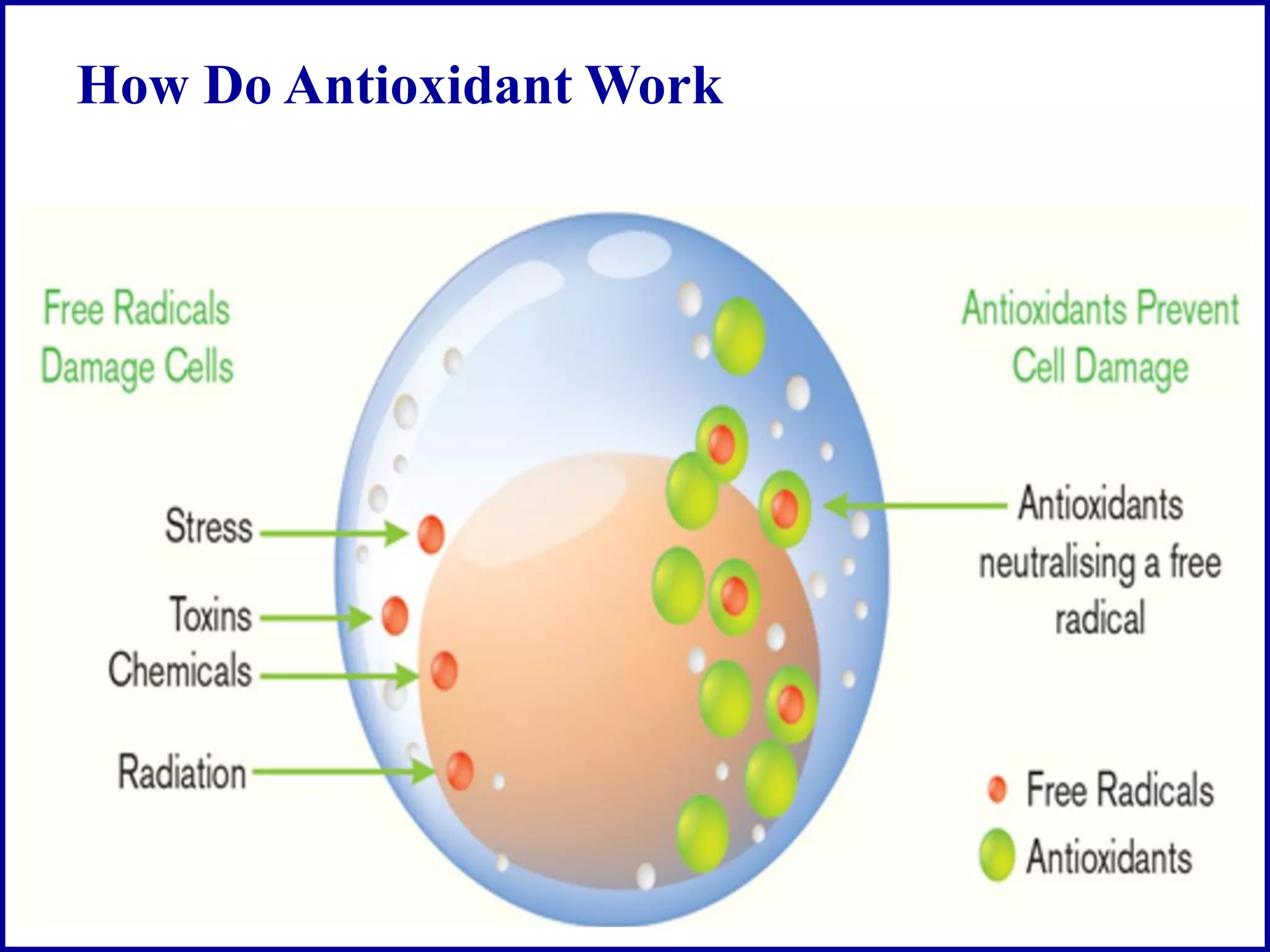 Free Radical and Antioxidant | PDF