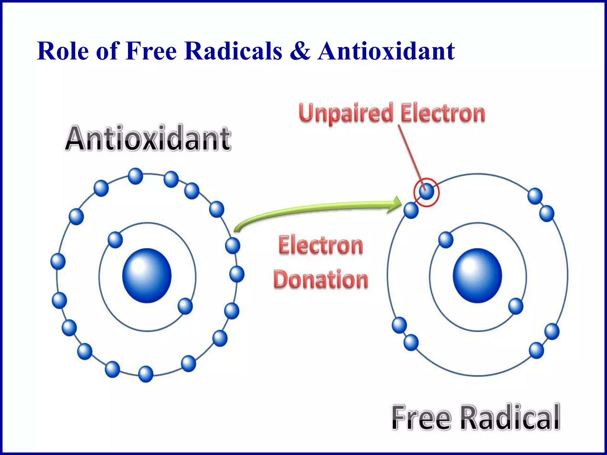 Free Radical and Antioxidant | PDF