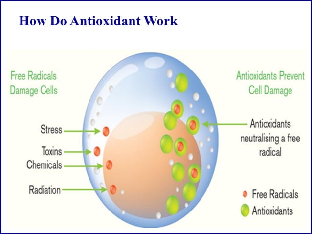 Free Radical and Antioxidant | PDF | Chemistry | Science