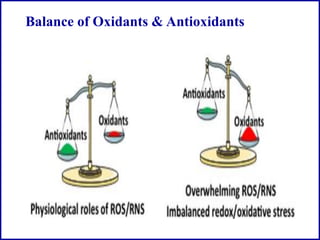 Free Radical Balance