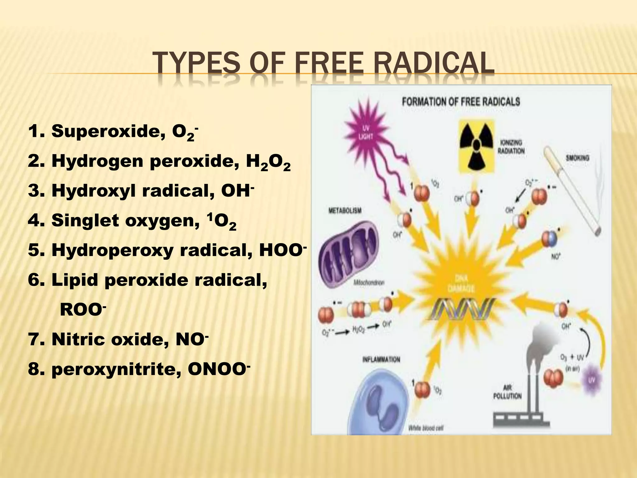 Free redical vs antioxident | PPT