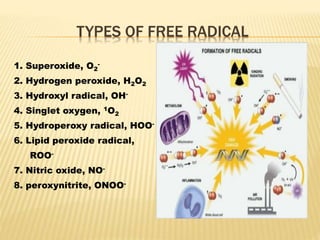 Free redical vs antioxident | PPTX